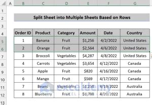Excel VBA Split Sheet Into Multiple Sheets Based On Rows ExcelDemy