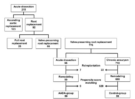Figure 1 From Long Term Outcome Of Aortic Root Remodeling For Patients