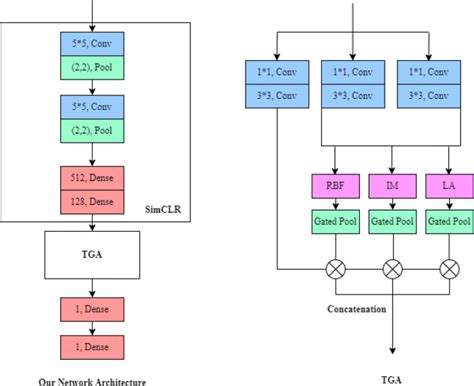 Triple Kernel Gated Attention Based Multiple Instance Learning With Contrastive Learning For