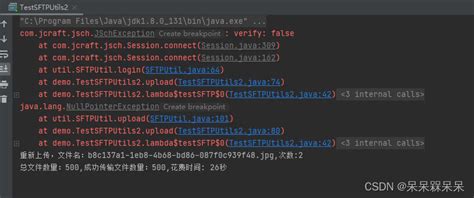 com jcraft jsch jschexception verify false csdn博客