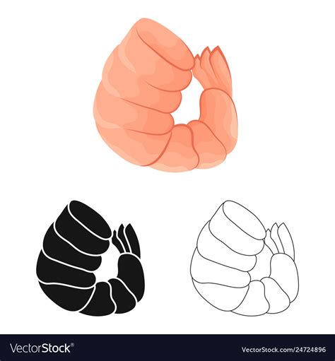 isolated object of prawn and raw icon collection vector image