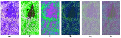 Feature Visualization Of The Proposed Method And Original Neural