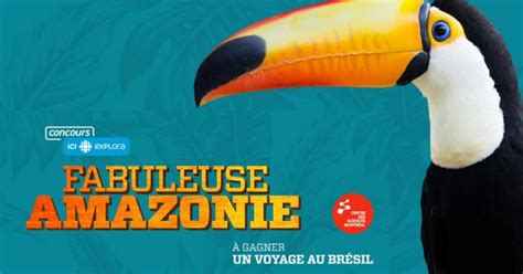 Gagnez Un Voyage Au Brézil Dune Valeur De 8000