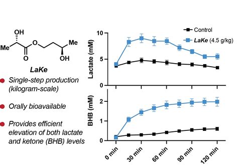 Mimicking The Benefits Of Exercise With A Single Molecule
