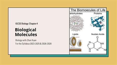 Igcse Biology Chapter 4 Biological Molecules Youtube