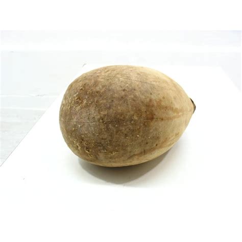 Vintage German Stern Head 1950s Chairish