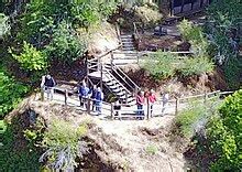 Bohemian Grove Wikipedia