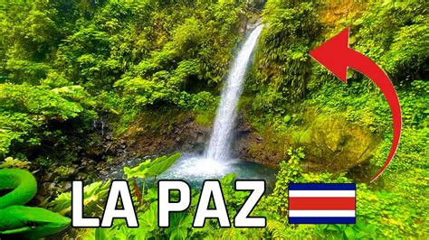 Conoce La Paz Waterfall Gardens En Costa Rica 🇨🇷 Youtube