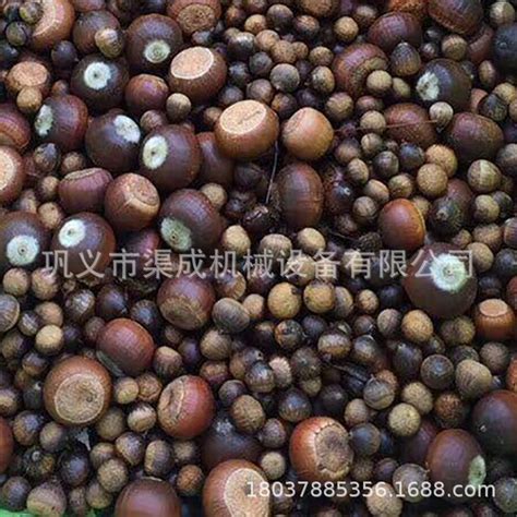 择子果第7页大山谷图库