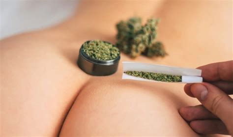 Best Weed For Sex Top 5 Strains Dagga Seeds