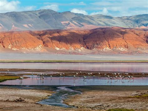 Geografía De Catamarca Carachi Pampa Volcán Y Laguna En Antofagasta