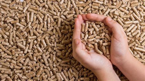 Holzpellets Im Öko Test 2023 Einzig Und Allein Diese Marke Ist Testsieger