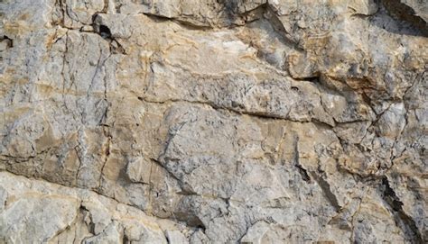 Premium Photo Limestone Background Natural Rock Pattern