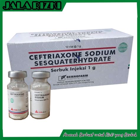 Ceftriaxone Sodium 1 Box Isi 10 Vial 1 Gram