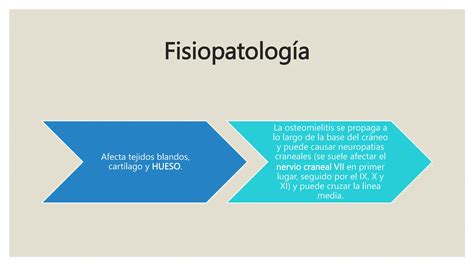Anatomia De Oido Y Otitis Aguda Gpcpptx
