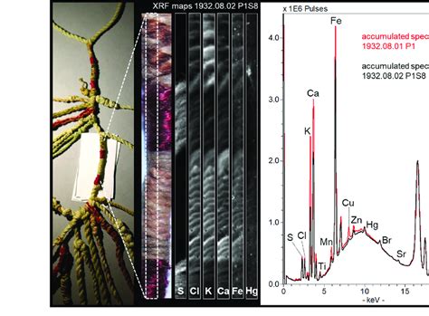 Xrf Maps Of Elements That Showed Differences In Distribution From Area Download Scientific