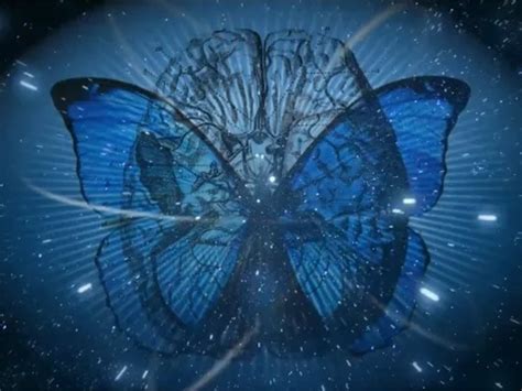 조 디스펜자 명상 실천 모임 Band