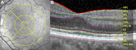 Oct Retinal Layers Segmentation