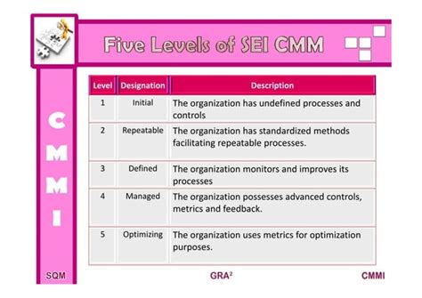 Capability Maturity Model Pdf Business Business And Finance