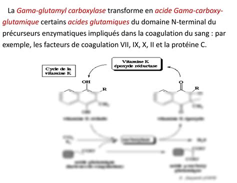 Solution Pathologies Des Autres Facteurs De La Coagulation Studypool