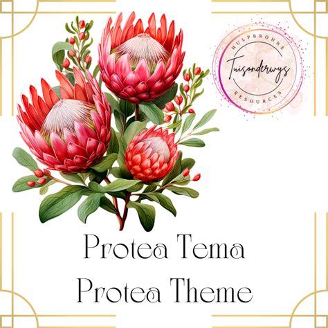 Protea Klaskamer Tema Protea Classroom Theme Tuisonderwys Hulpbronne