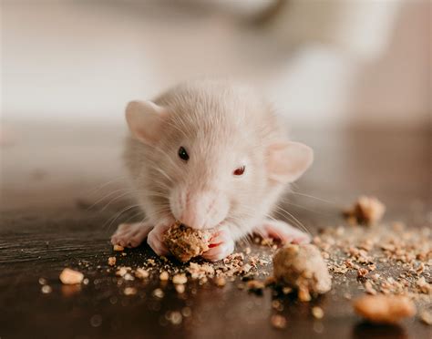 My Son Named Her Cheerio 😍 Scrolller