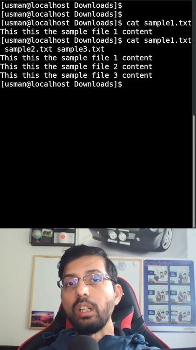Linux Cat Command Tutorial With Standard Redirect Linux Commandline
