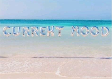 Lindsey Corey On Linkedin Cabo Sunshine Memories Vibes