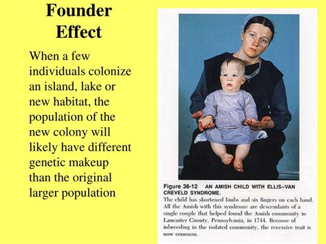 Founder Effect Example In Real Life At Maria Couch Blog