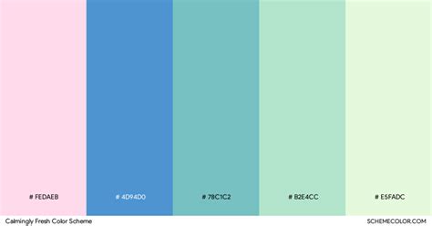 Explore The Best Calming Color Scheme Collection Blog
