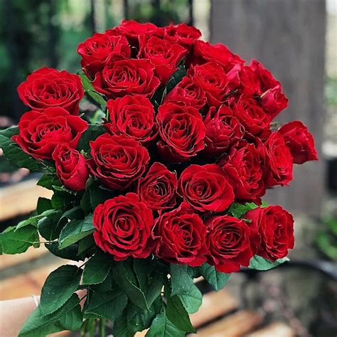 These Are Some Of The Perfect Red Roses For This Christmas