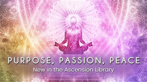 New In The Library Purpose Passion Peace