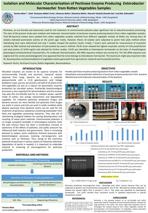 Pdf Isolation And Molecular Characterization Of Pectinase Enzyme