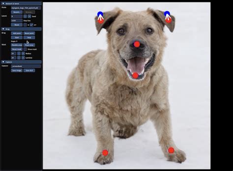 Gallery Post Your Screenshots Code Here Part 17 · Issue 6478