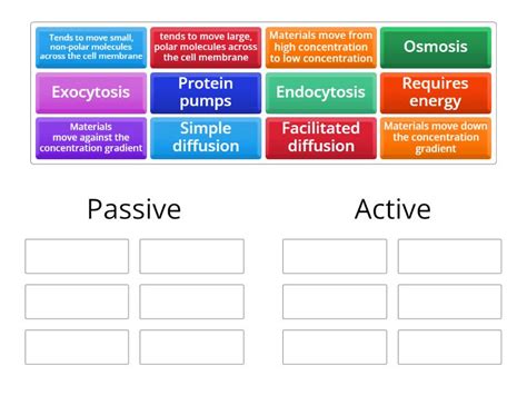 Passive Vs Active Group Sort