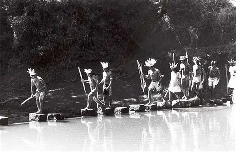 Kaingang Indigenous Peoples In Brazil