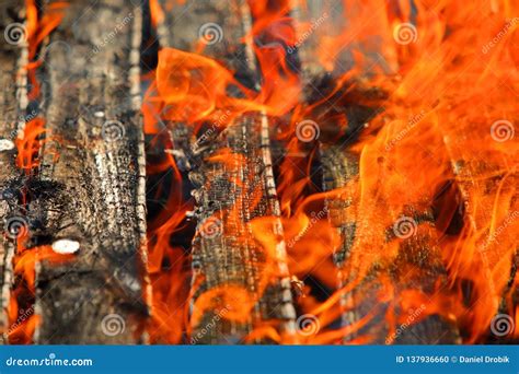 Fire Is A Phenomenon Of Nature That Turns All Flammable Materials Into