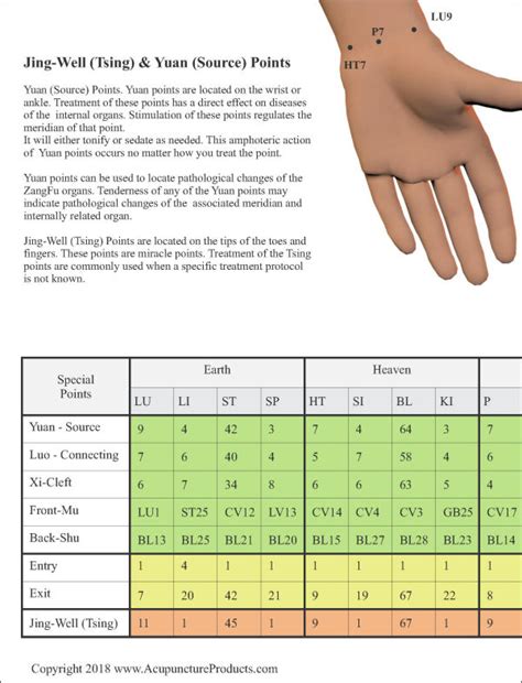 Acupuncture Meridian Pathways Points Poster Set