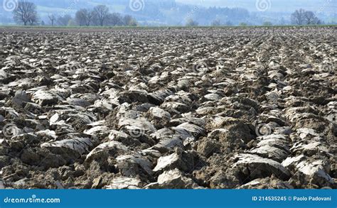 Turned Worked Soil Closeup Of Sand And Clover Plants Soil Landscape