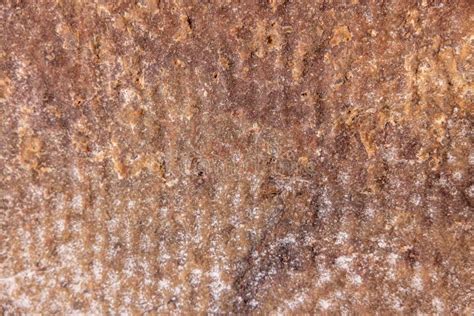 Muted Gradient Background Various Shades Of Green Concept Of Nature