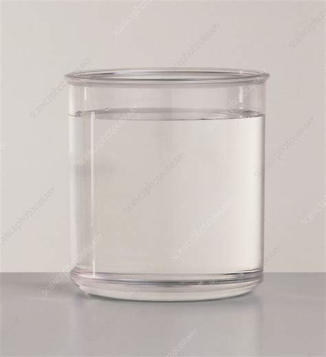 Beaker Water Bottle At Stephen Jamerson Blog