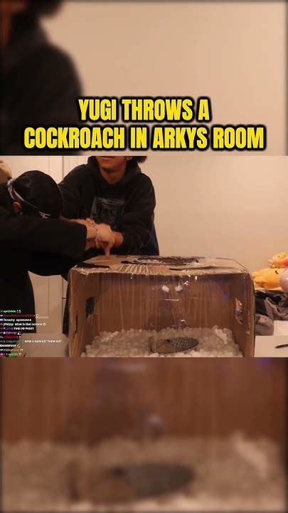 Roach Goes Flying Youtube