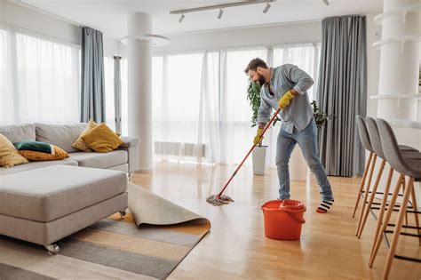 Deep Cleaning Your Living Room A Guide For A Fresh Home Tru Earth Au