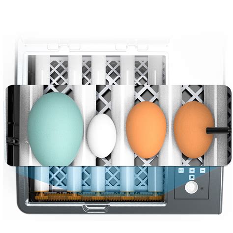 Incubator Egg Incubator Fully Automatic Digital In Grandado