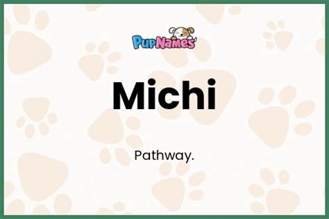 Michi 🐶 Dog Name Meaning And Popularity ™