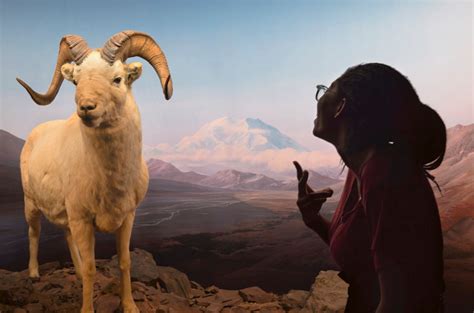 The Dialectic In Contemporary Art Phmuseum