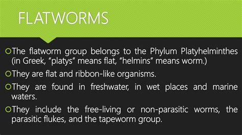 Flatworms Roundworms Segmented Worms Ppt