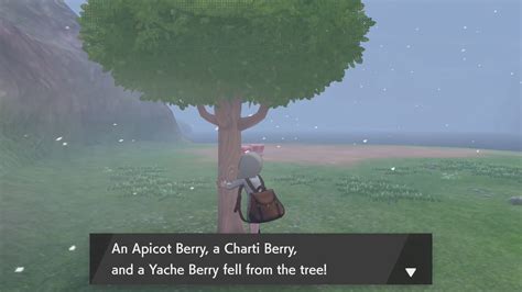 Berry Tree Map Pokemon Sword At Mikayla Talbot Blog