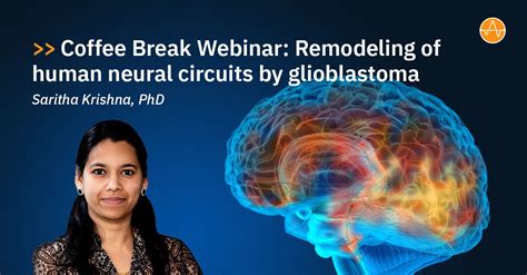 Axion Biosystems On Linkedin Remodeling Of Human Neural Circuits By Glioblastoma