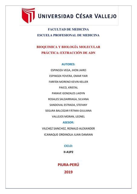 ExtracciÓn De Adn Maryuri Lisbeth Udocz ExtracciÓn De Adn Maryuri Lisbeth Udocz